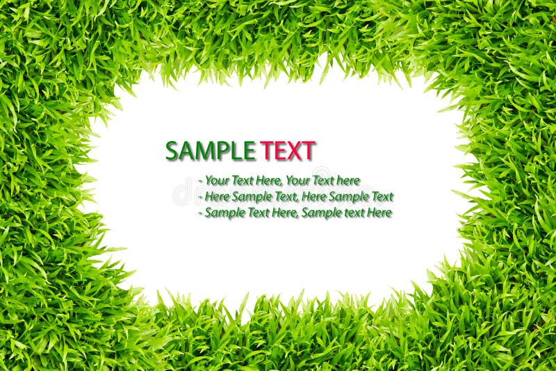 Grass frame isolated stock image. Image of grass, abstract - 17081379