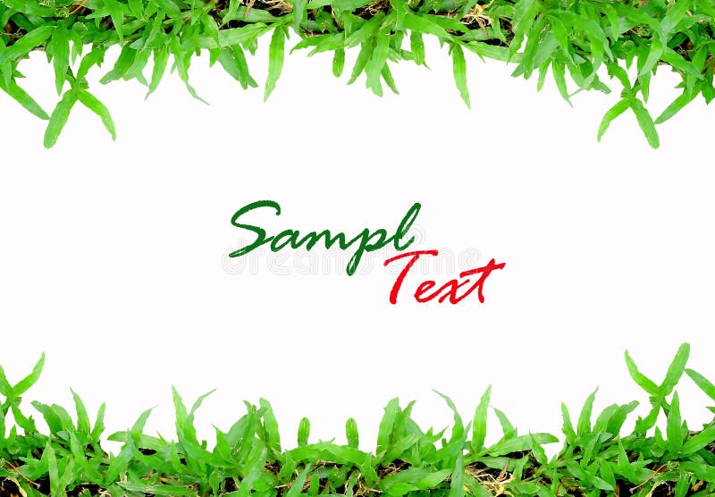 Green Grass Love Heart Frame Isolated Stock Photo - Image of fresh ...