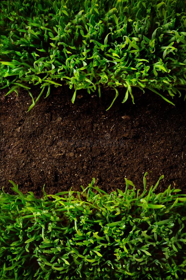 Grass and Soil Layers Isolated on White Stock Photo - Image of brown ...