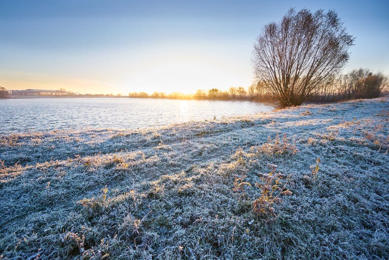Grass with Frost in Morning Light Stock Photo - Image of nature, leaves ...