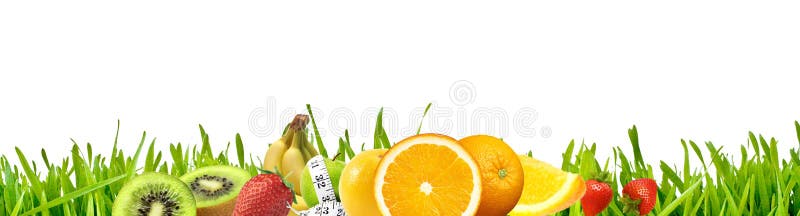Grass & Fruits stock image. Image of banana, vegetation - 19641045