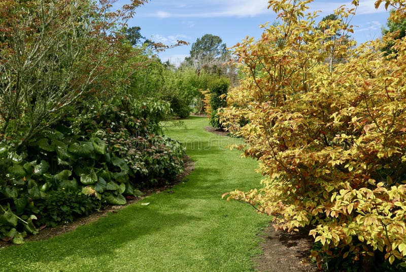Grass Garden Path in Spring Stock Image - Image of spring, trees: 103293603