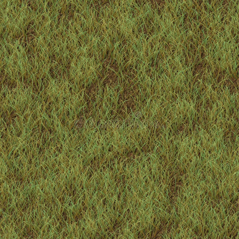 Grass Generated Seamless Texture Stock Illustration - Illustration of ...