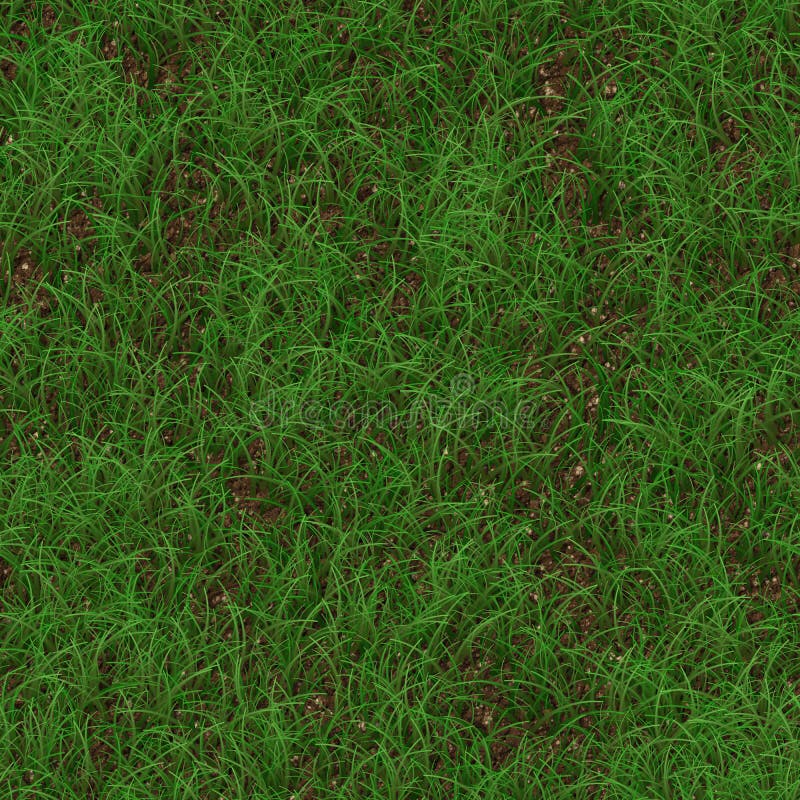Grass Generated Seamless Texture Stock Illustration - Illustration of ...