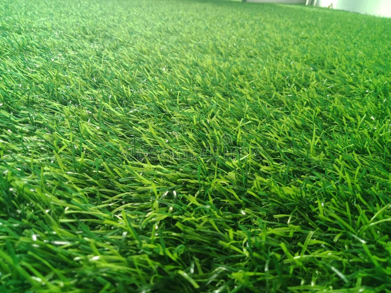 This is Grass Green Beautiful Stock Image - Image of meadow, field ...