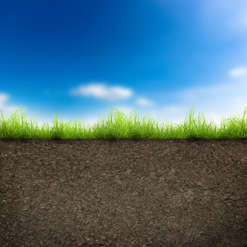 Grass soil stock photo. Image of landscaper, roots, grass - 14911000