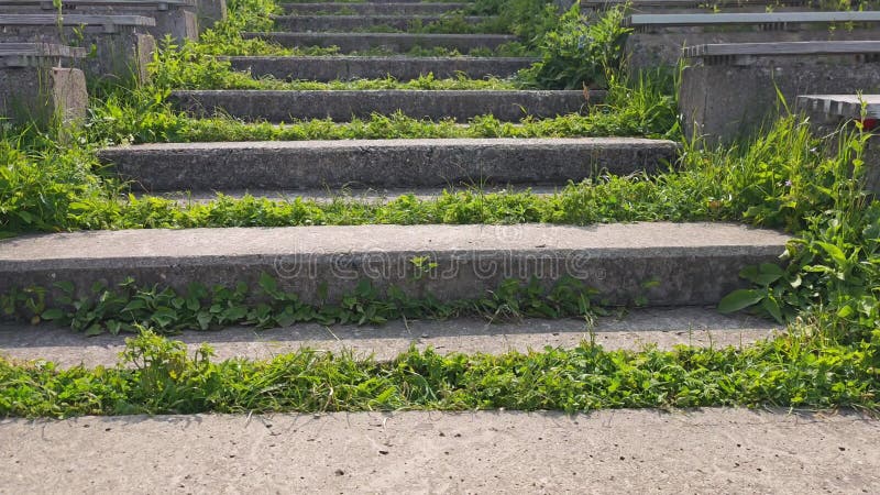 Grass Growing between Concrete Steps Stock Video - Video of stairway ...