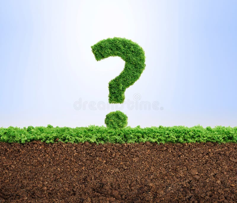 Grass Growth Environment Question Concept Stock Image - Image of ...