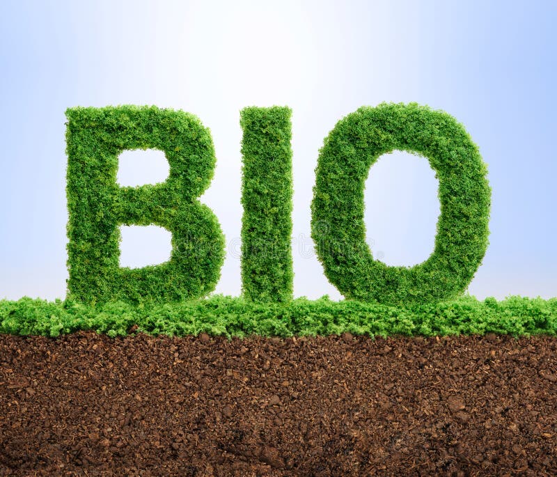Grass growth BIO concept stock photo. Image of ground - 118036558