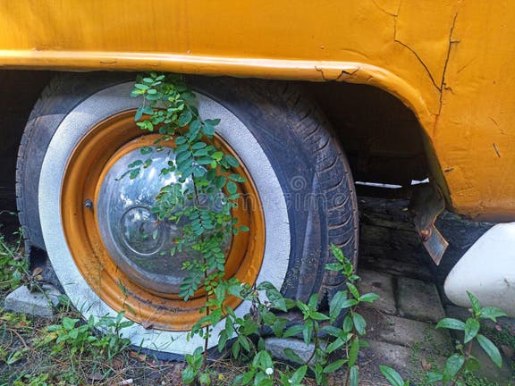 Grass Grows Near a Flat, Rusty Car Tire Stock Image - Image of iron ...