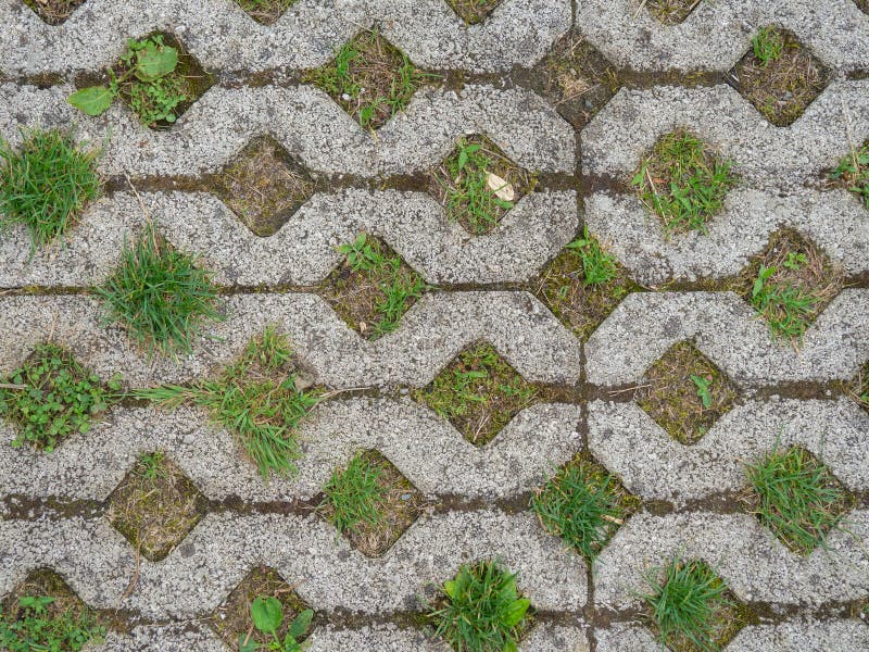 Grass Grows through Paving Slabs. Pattern from the Flooring Stock Image ...
