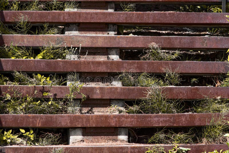 Industrial Ladder on the Facade of the Building Going Up To the Sky ...