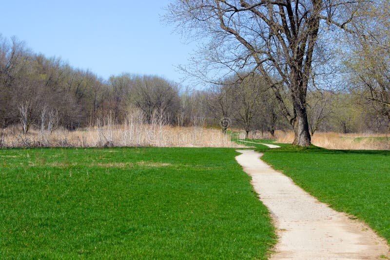 Trees in Bloom in Springtime Stock Image - Image of grass, breathtaking ...