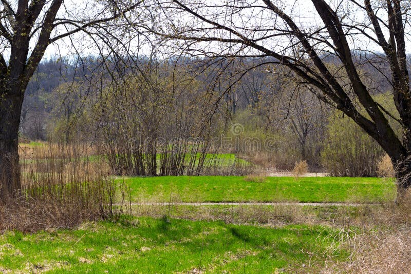 Grass Grows before Trees Bloom in Midwest America from a New Angle ...