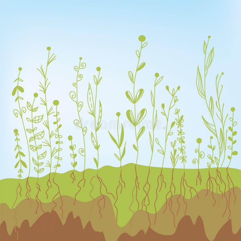 Grass Growth with Roots in the Soil Stock Vector - Illustration of ...