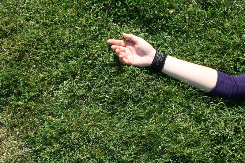 Grass hand stock photo. Image of laid, back, green, fingernail - 6118172