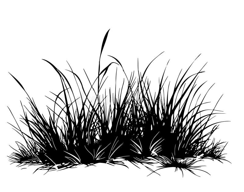 Grass hand drawn style stock illustration. Illustration of plant ...