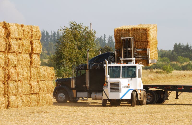 Heavy Loader Processing Straw Stock Photos - Free & Royalty-Free Stock ...