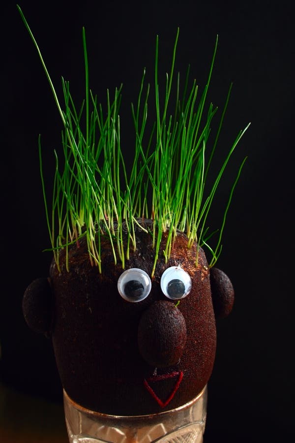 Grass on the head stock photo. Image of gardening, face - 4575304