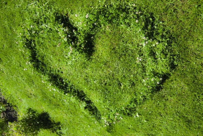 Grass heart stock photo. Image of summer, love, grass - 15006246