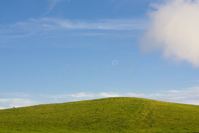 Grass hill stock photo. Image of green, grass, color - 22365732