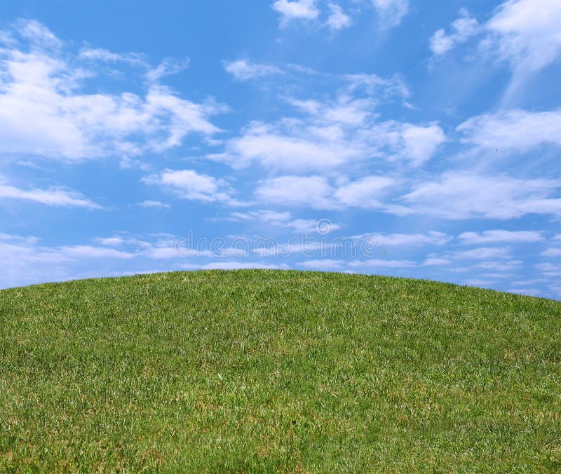 Grass Hill stock photo. Image of natural, flora, lawn, plants - 762214