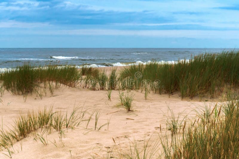 Grass on the Hills of Sand, Sand Dunes Covered with Grass Stock Photo ...