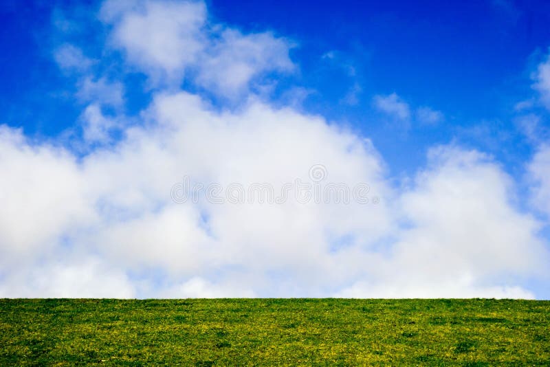 Grass Horizon stock photo. Image of background, field - 17619004