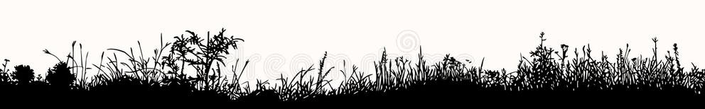 Grass Horizontal Seamless Pattern Stock Vector - Illustration of ...