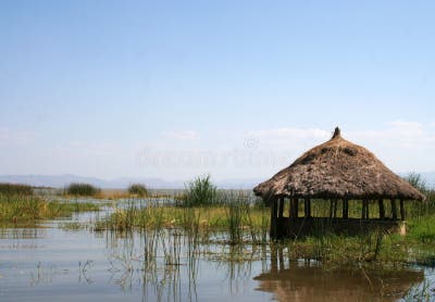 Grass Hut stock photo. Image of peaceful, reeds, lake - 4270454