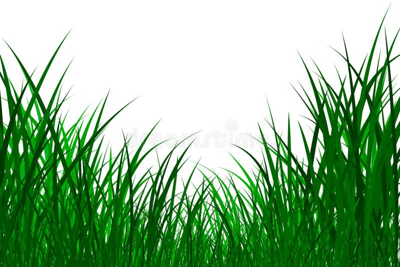 Grass illustration stock illustration. Illustration of grass - 19401424
