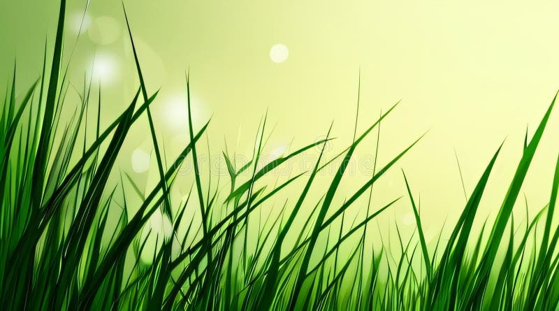 Grass Illustrator with Wide Screen Stock Illustration - Illustration of ...