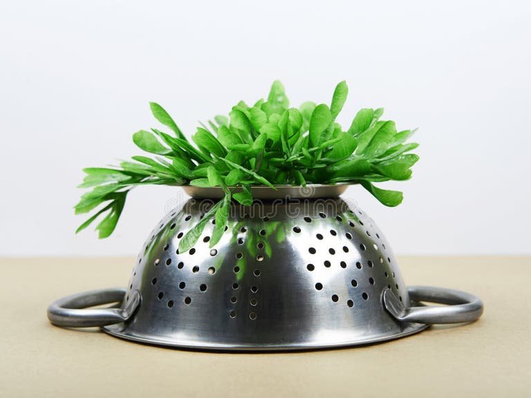 Grass inverted colander stock image. Image of chrome - 77203743