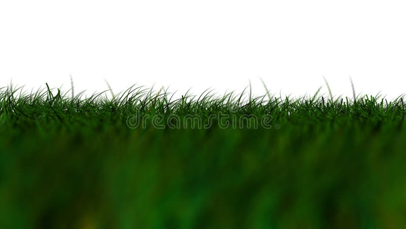 Grass isolated low view stock illustration. Illustration of base ...