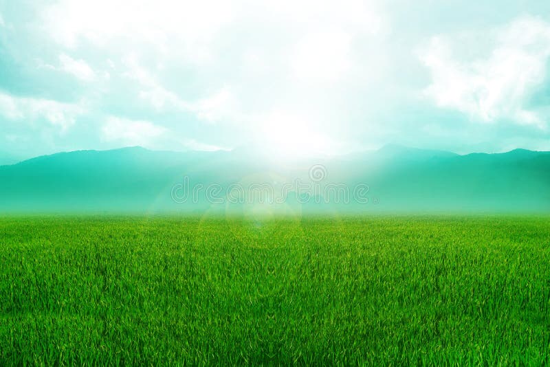 Grass Land stock image. Image of meadow, clouds, nature - 29160787