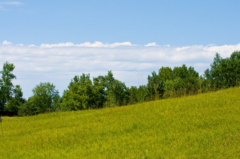 Grass Landscape stock photo. Image of outdoor, grassland - 21181478