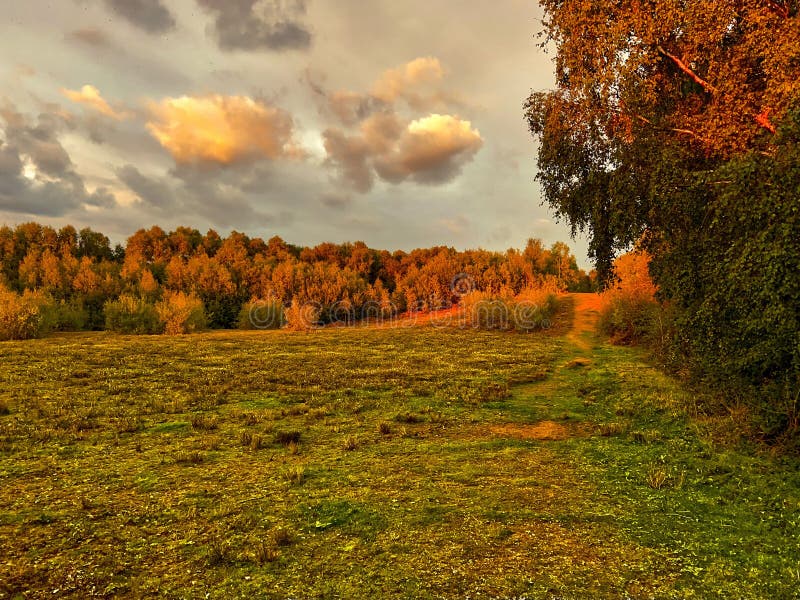 Grass Landscape with Trees in Fall and Cloudy Sky Stock Image - Image ...