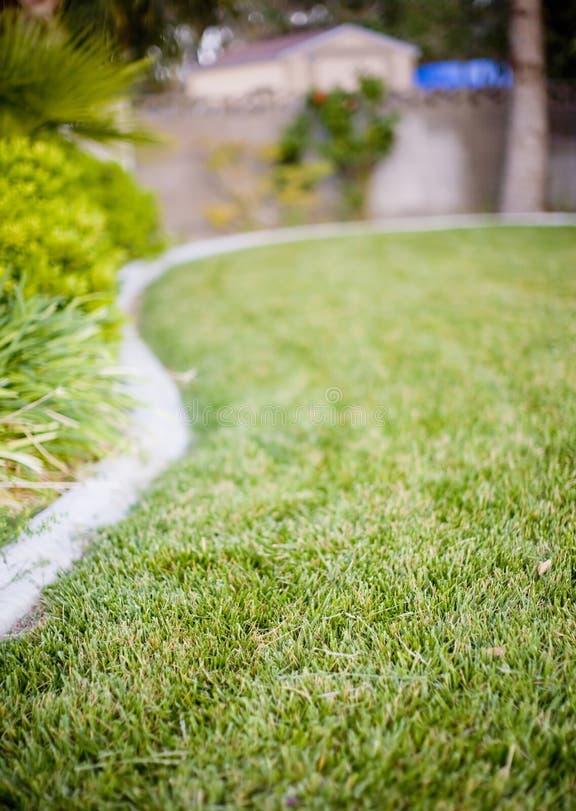 Grass landscaped yard stock photo. Image of summer, plant - 5193258