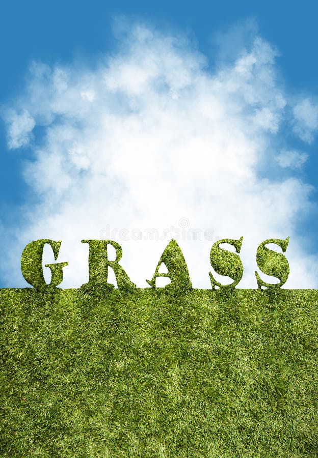 Grass stock photo. Image of green, landscaper, lawn, augustine - 15914932