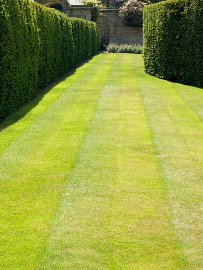 Grass lawn stock photo. Image of peaceful, straight, ornate - 5513100