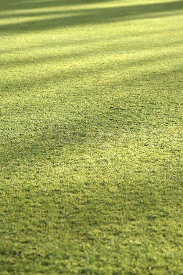 Grass Lawn Background with Evening Shadows Stock Image - Image of ...