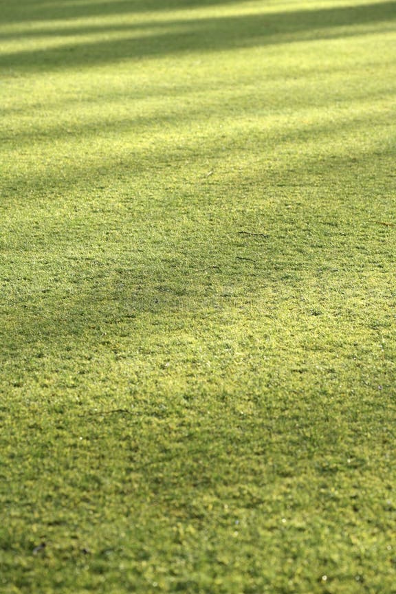 Grass Lawn Background with Evening Shadows Stock Image - Image of ...