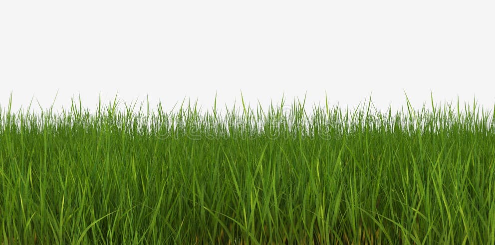 Illustration Horizon Grass Stock Illustrations – 51,757 Illustration ...