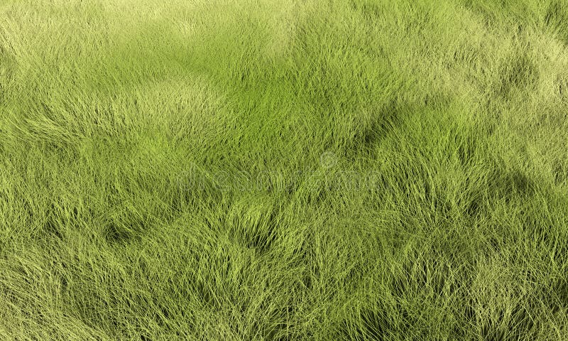 Grass Land Marsh Stock Illustrations – 186 Grass Land Marsh Stock ...