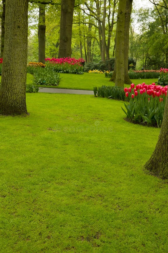 Grass Lawn in Spring Garden Stock Photo - Image of garden, holland ...
