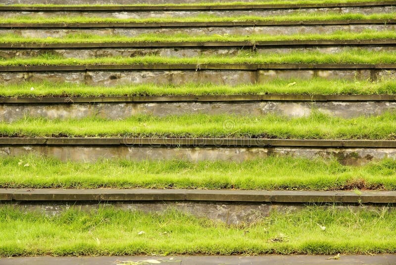 Grass lawn with steps stock image. Image of season, horticulture - 14417841