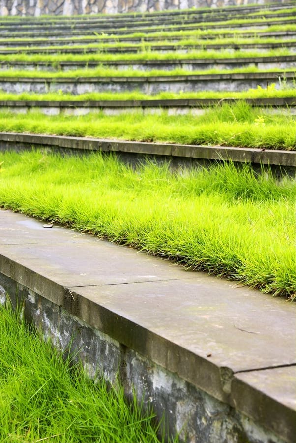 Grass lawn with steps stock image. Image of grass, grassplot - 15909451