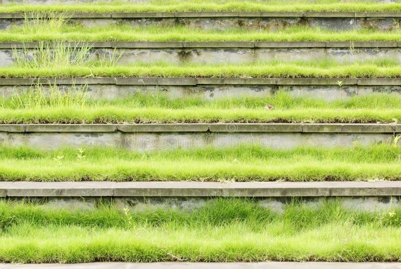 Grass lawn with steps stock image. Image of botanical - 15225323