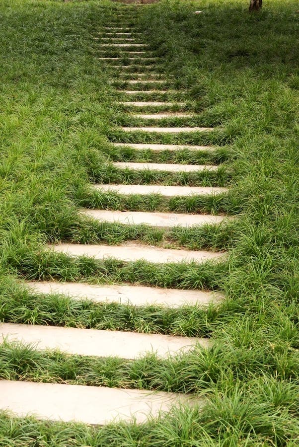 Grass lawn with steps stock image. Image of grass, grassplot - 15909451