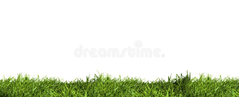 Grass Layer stock image. Image of field, spring, texture - 15167393